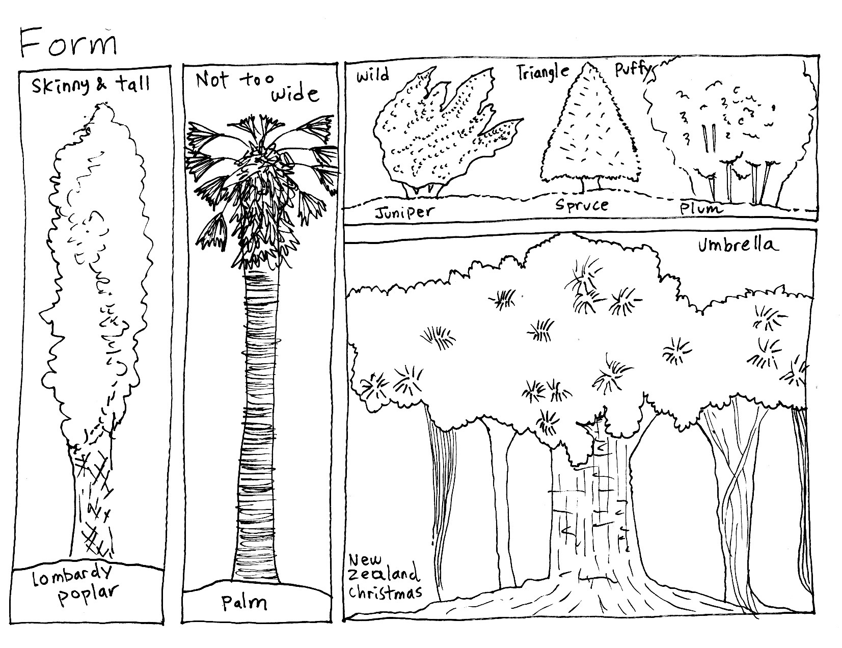 45. TREES: selection | Mission Azul