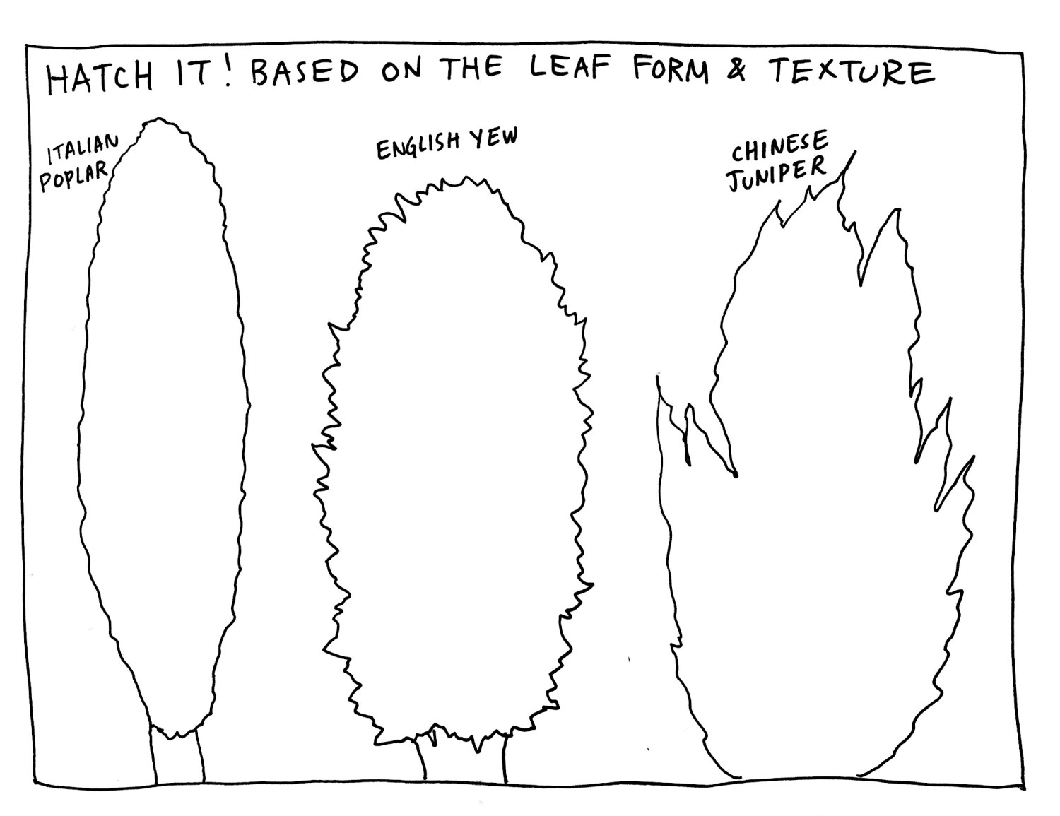 75. LANDSCAPE DESIGN: Hatching | Mission Azul