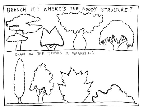 75. LANDSCAPE DESIGN: Hatching | Mission Azul