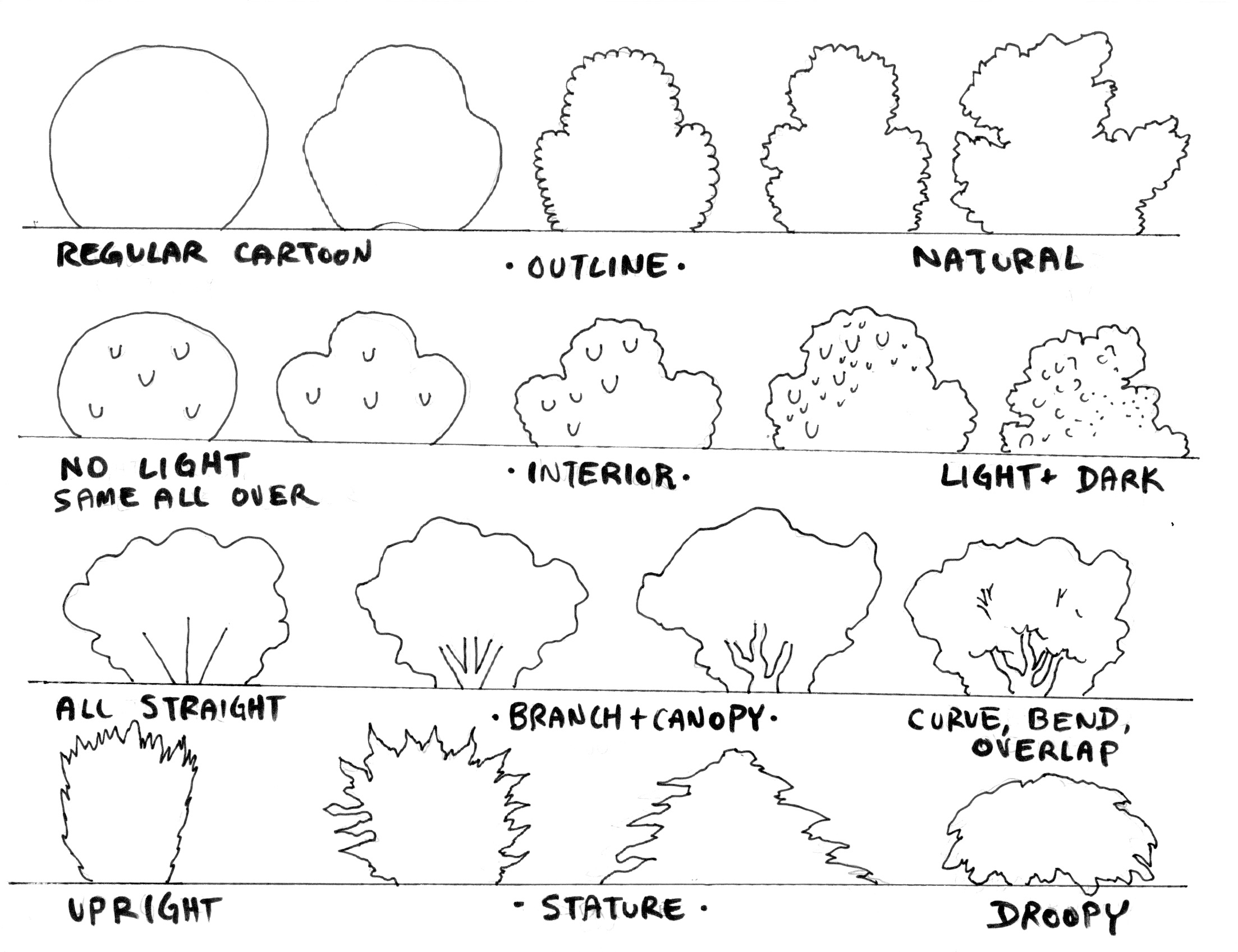 94. DESIGN: Drawing plants | Mission Azul