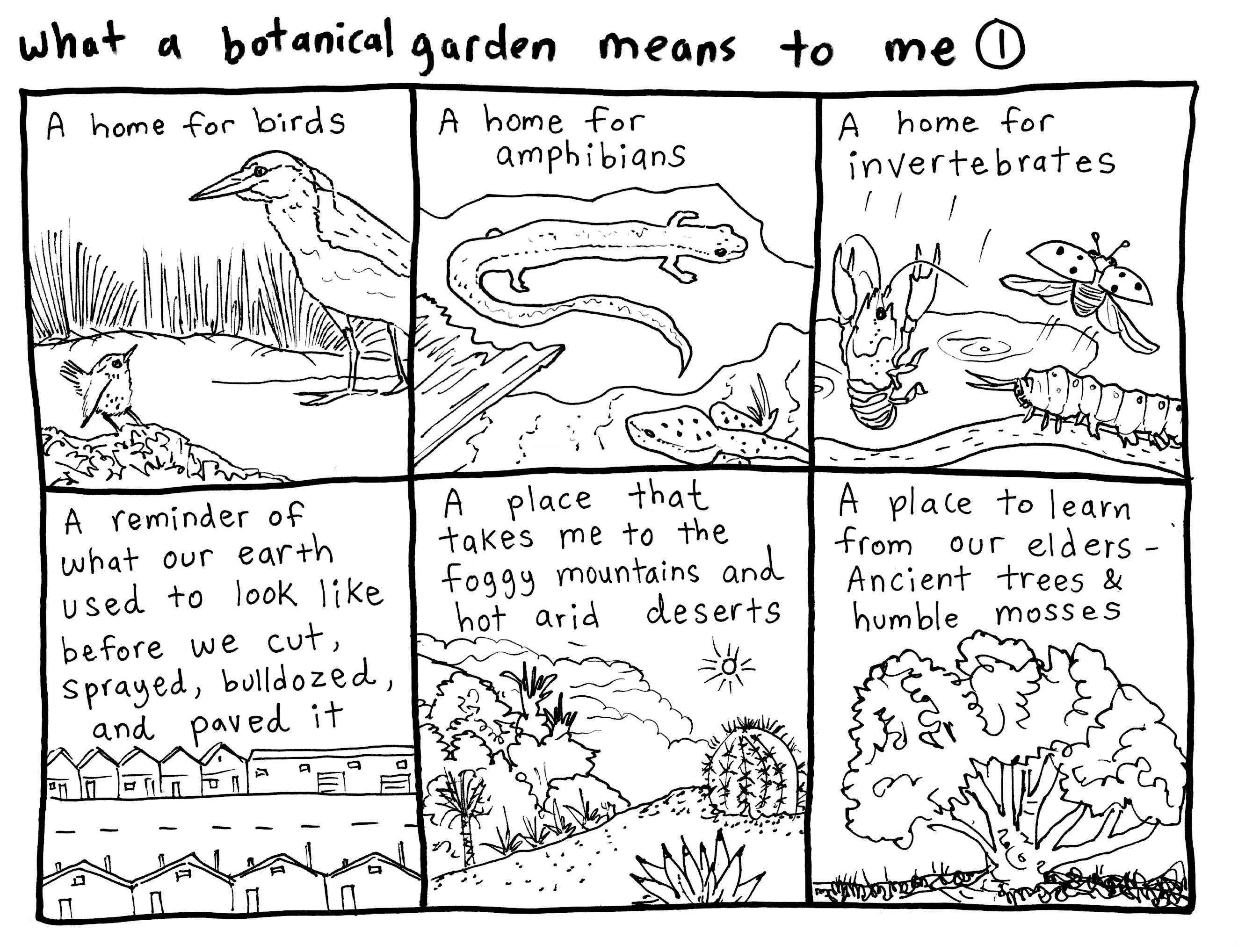 98. GARDENING: Botanical Gardens – role, meaning and function | Mission ...