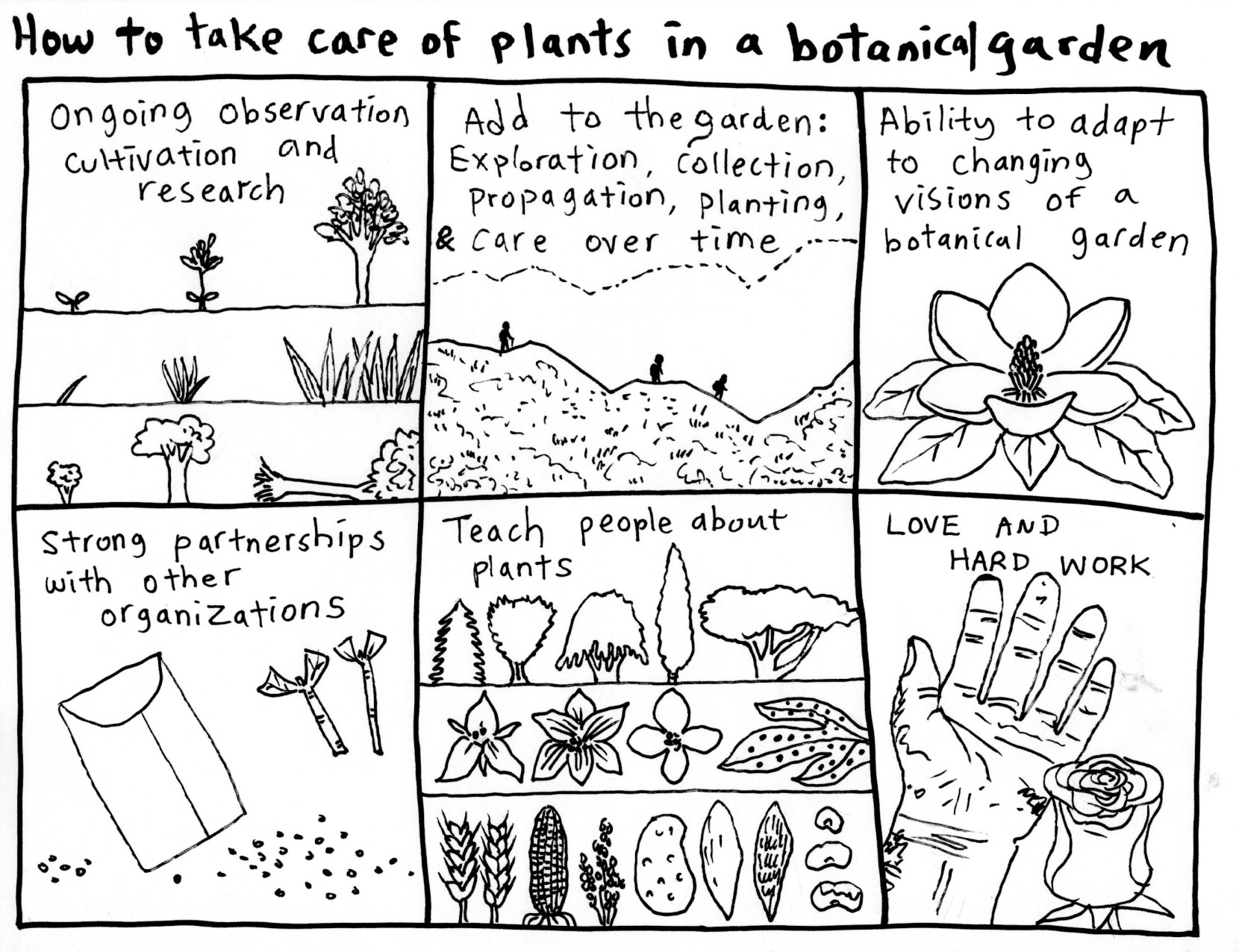 98. GARDENING: Botanical Gardens – role, meaning and function | Mission ...