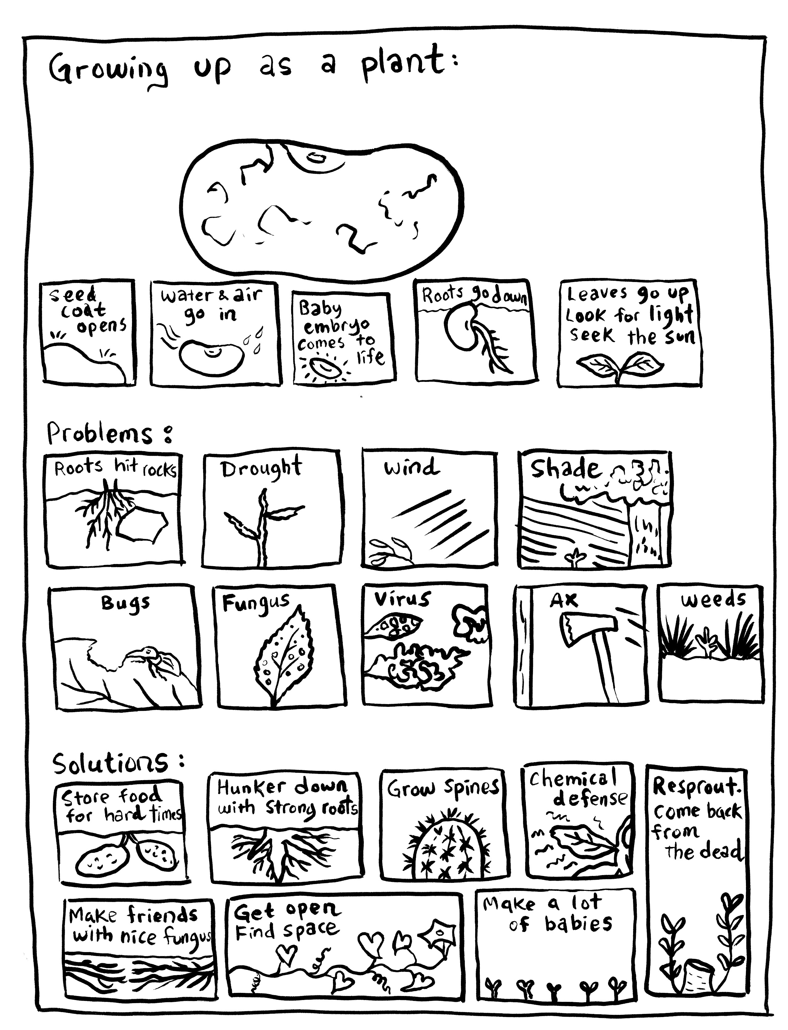 101. PLANTS: Basic curriculum | Mission Azul